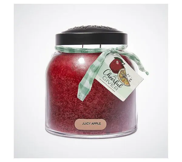 A CHEERFUL GIVER 34oz Papa Jar Candle