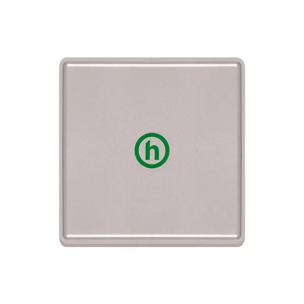 HIDDEN NY H Logo Tray - Silver