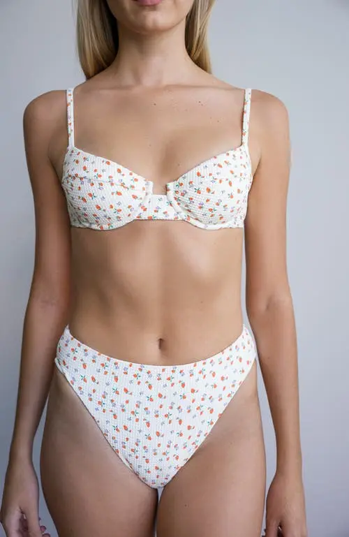 DIPPIN DAISY'S Seashore High Waisted Bikini Bottom - Shortcake