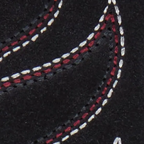 Isabel Marant Étoile Duerto Cowboy Boots