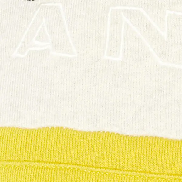 Isabel Marant Wasil Sweatshirt