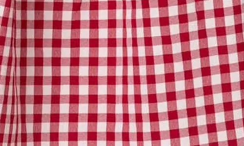 EDIKTED Gingham Maxi Skirt