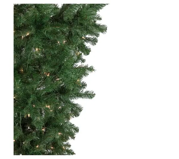 NORTHLIGHT 7' Green Spruce Upside Down Tree C Lear Lights