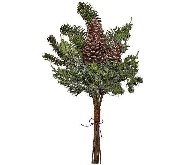 VALERIE PARR HILL 20 Pine/spruce With Pinecones Bundle Valerie