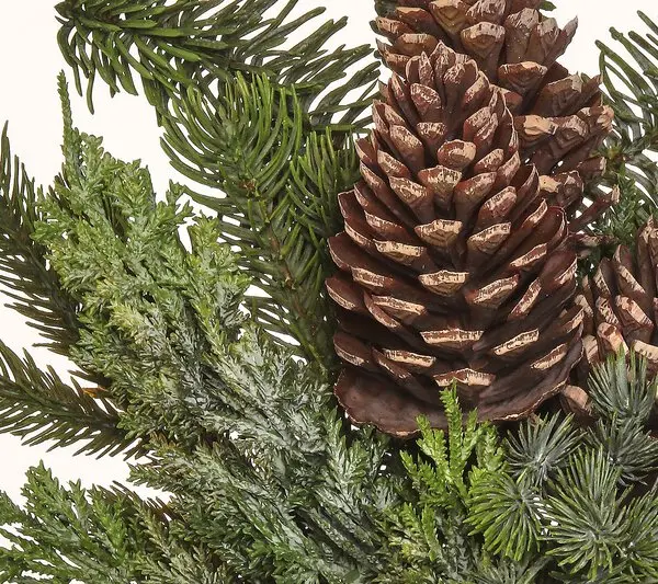 VALERIE PARR HILL 20 Pine/spruce With Pinecones Bundle Valerie