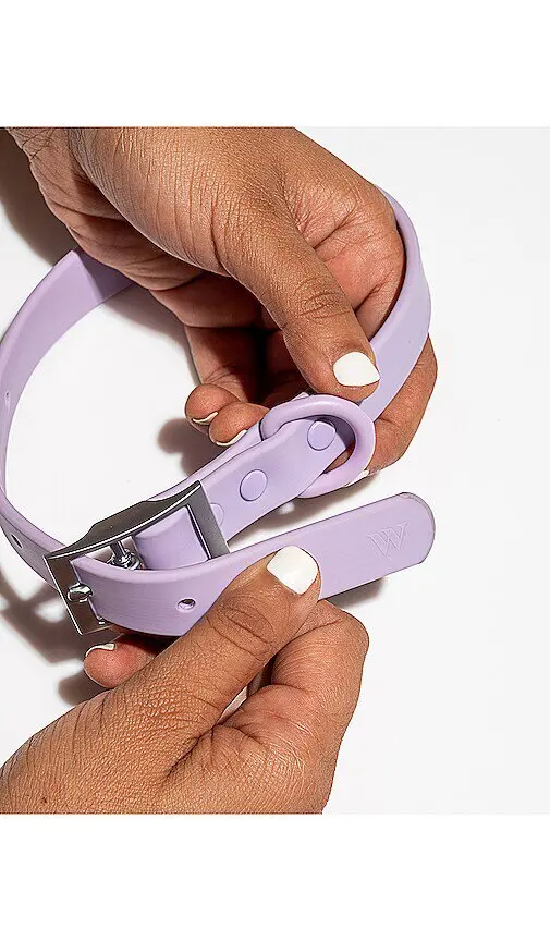 WILD ONE Large Collar In Lavender