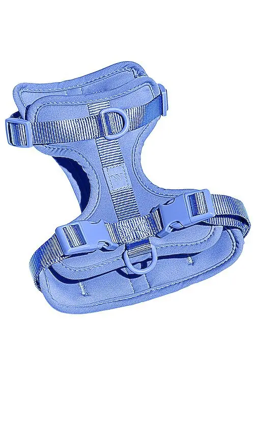 WILD ONE Harness In Blue - Moonstone
