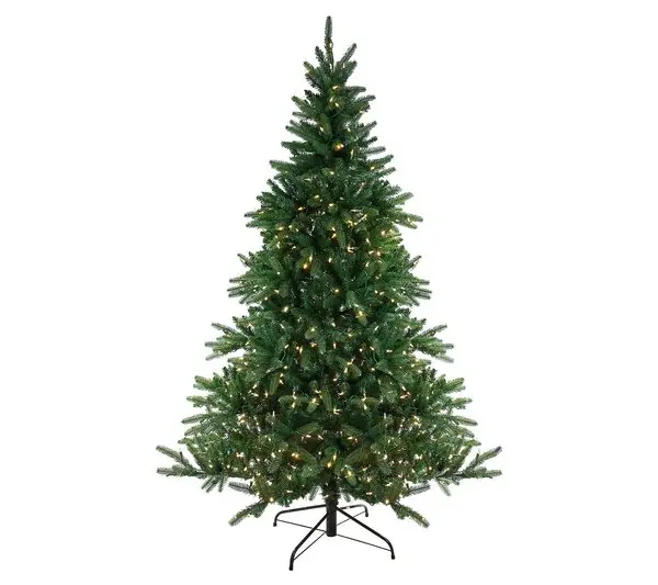 NORTHLIGHT Noble Fir Tree 9' Dual Color Led Lights - One-color