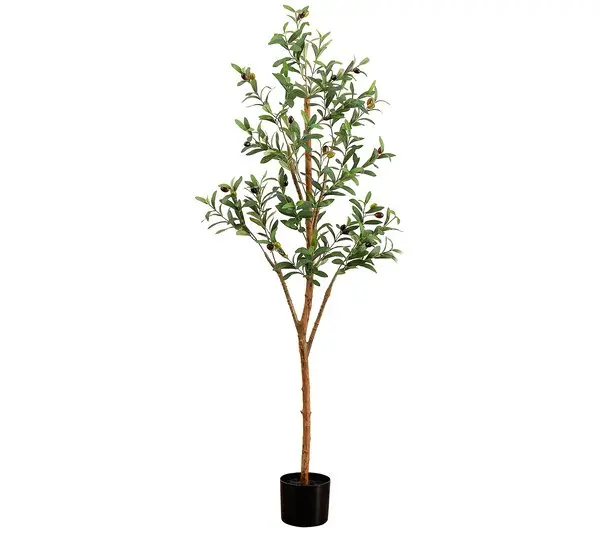 NEARLY NATURAL 5' Artificial Olive Tree With Na Tural Trunk - One-color