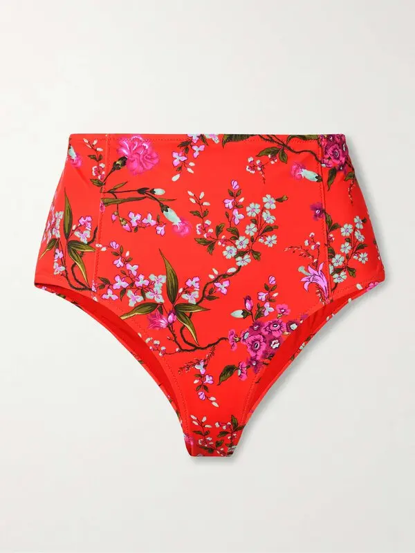 Erdem Floral Print High-waisted Bikini Briefs