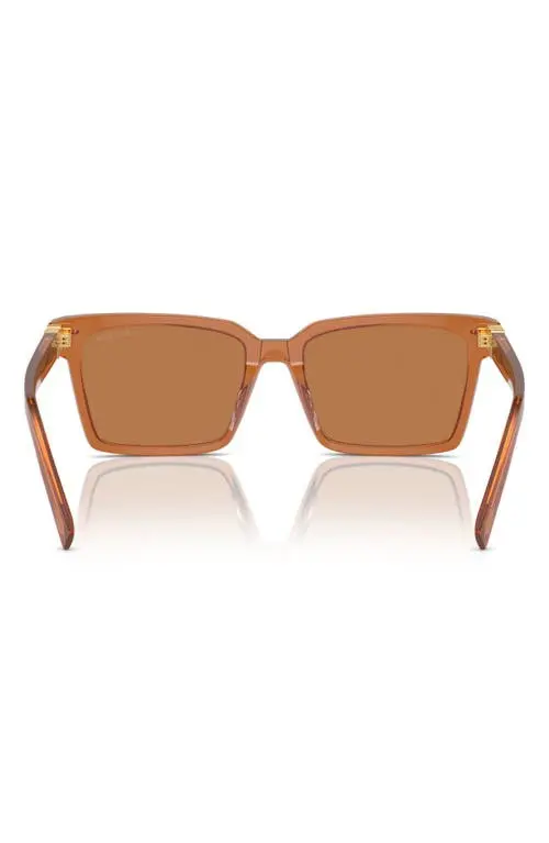 Miu Miu 55mm Rectangular Sunglasses - Brown