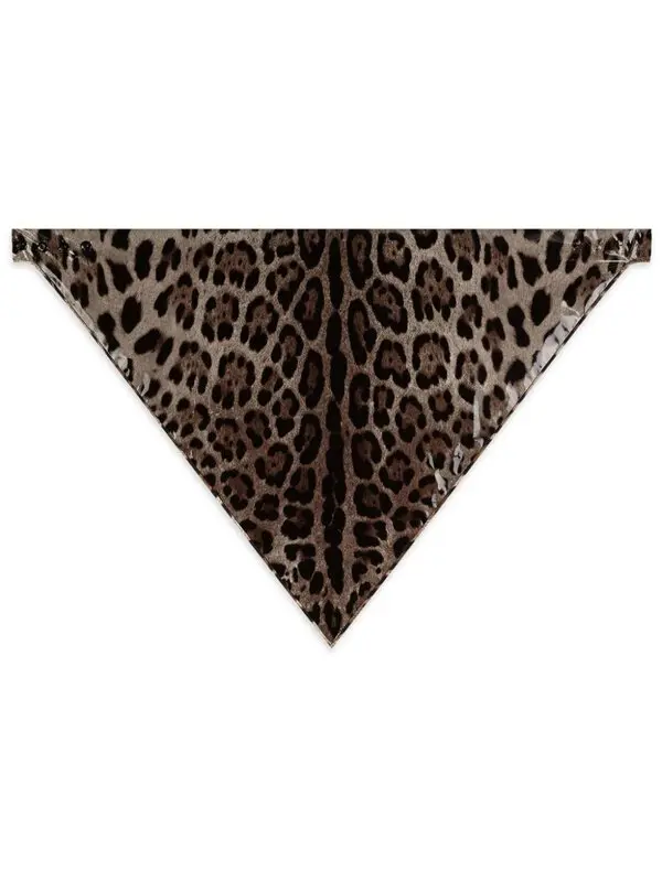 Dolce & Gabbana Leopard-print Triangle Veil - Brown