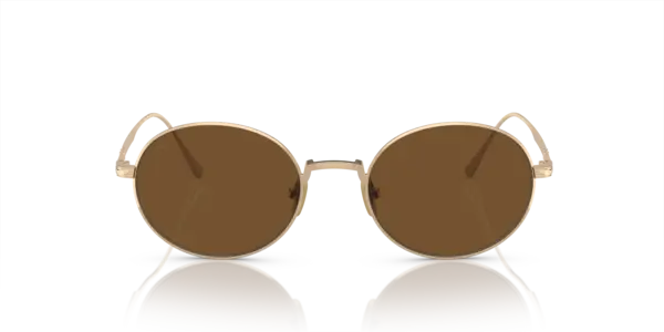 Persol Titanium Oval Sunglasses - Polarized Brown