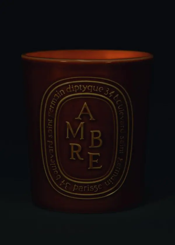DIPTYQUE Ambre Candle, 600g
