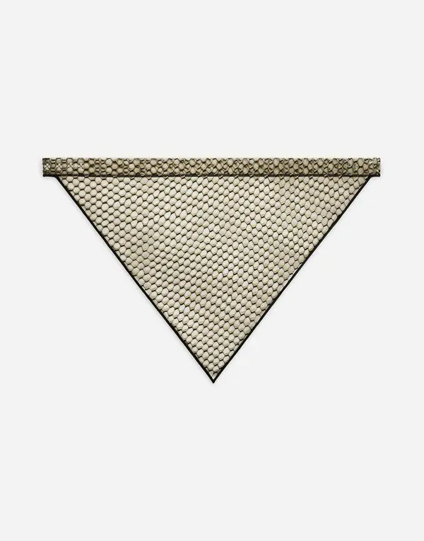 Dolce & Gabbana Triangular Veil