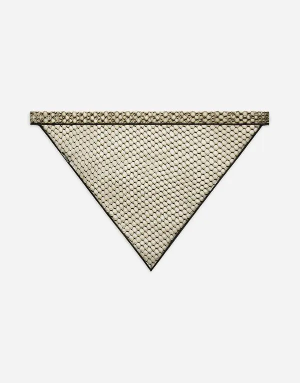 Dolce & Gabbana Triangular Veil
