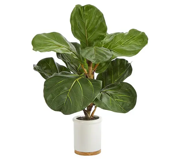 NEARLY NATURAL 21' Fiddle Leaf Artificial Tree