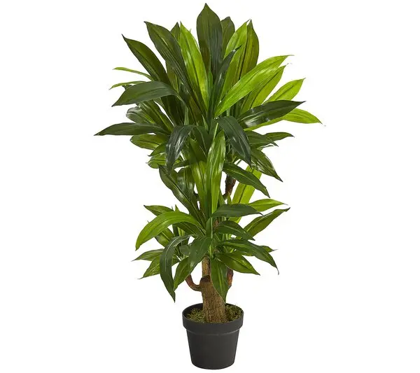 NEARLY NATURAL 3' Corn Stalk Dracaena Artificia L Plant - One-color