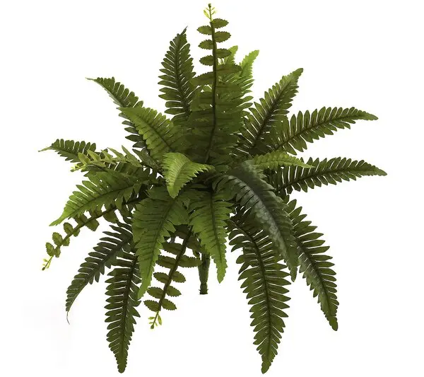 NEARLY NATURAL 14' Boston Fern Artificial Plant - One-color