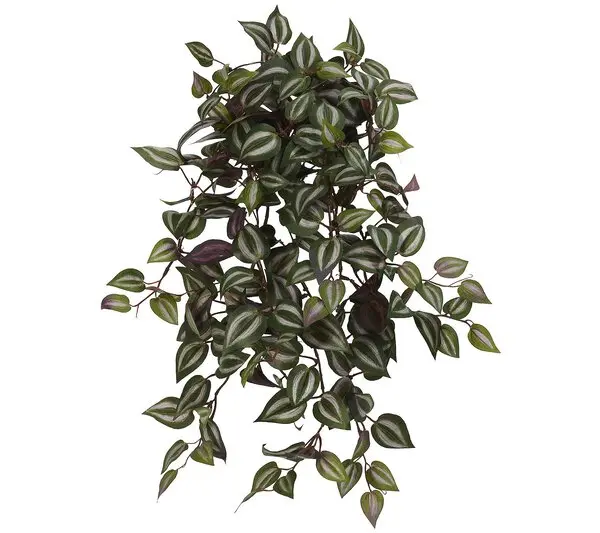NEARLY NATURAL 23' Wandering Jew Hanging Plant Set Of 4 - One-color