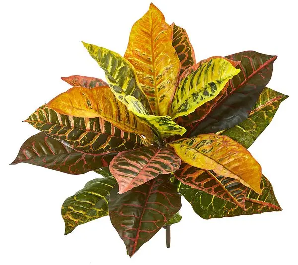 NEARLY NATURAL 21' Garden Croton Plant - One-color