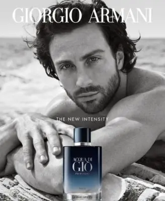 ARMANI New Giorgio Acqua Di Gio Profondo Parfum Fragrance Collection - No Color