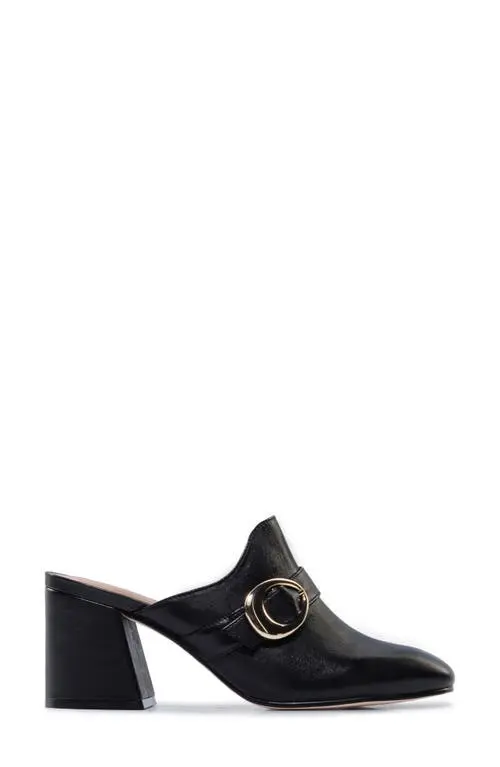 Bernardo Natasia Mule