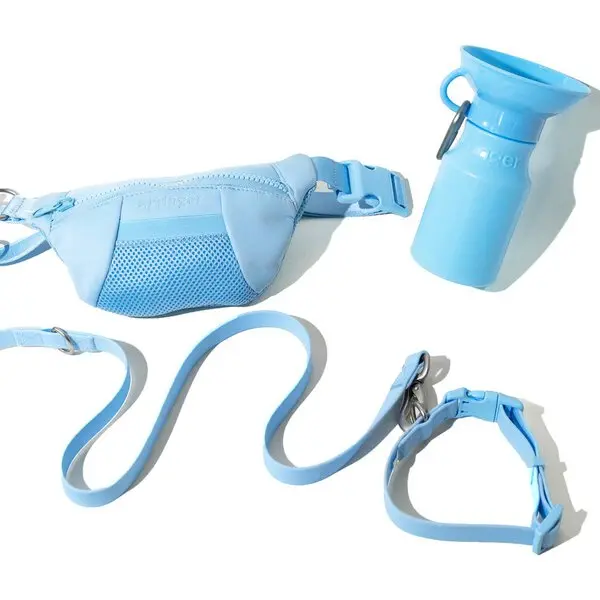 SPRINGER Dog Sling Bag With Water Bottle Set - Sky Blue