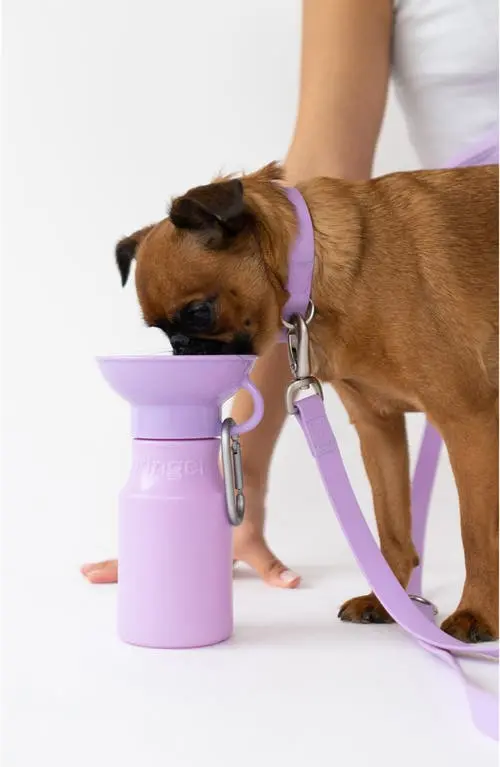 SPRINGER Dog Leash & 15 Oz. Water Bottle Set - Lilac