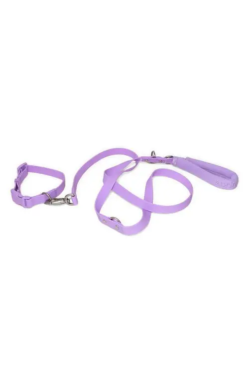 SPRINGER Dog Leash & 15 Oz. Water Bottle Set - Lilac