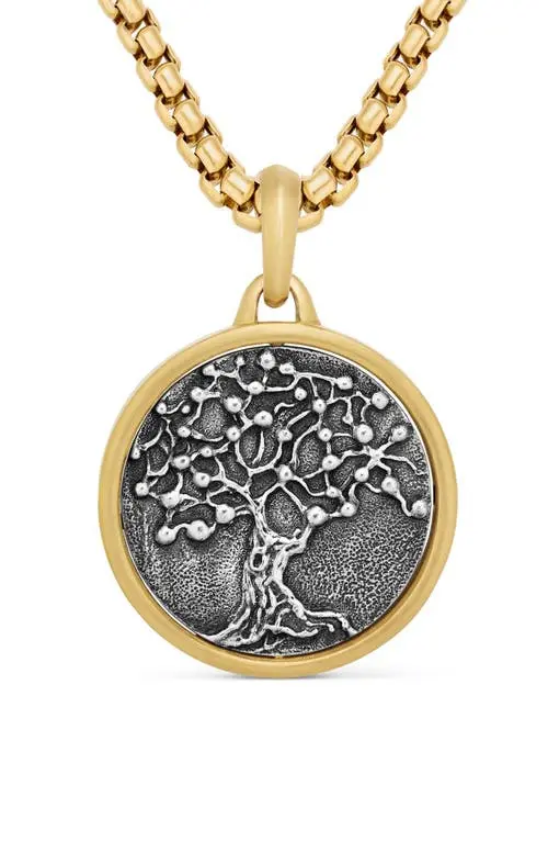David Yurman Life & Death Duality Amulet - Sterling Silver With 18k Gold