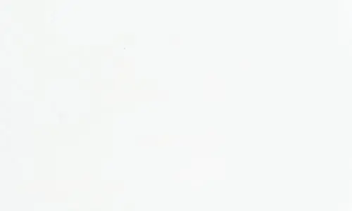 VIETRI Lastra American Dinner Plate - White