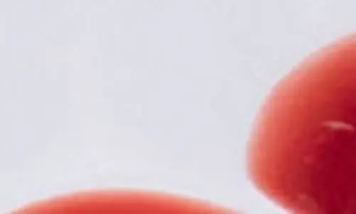 VIETRI Drop Wine Glass - Red