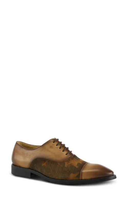 SPRING STEP SHOES Calder Oxford