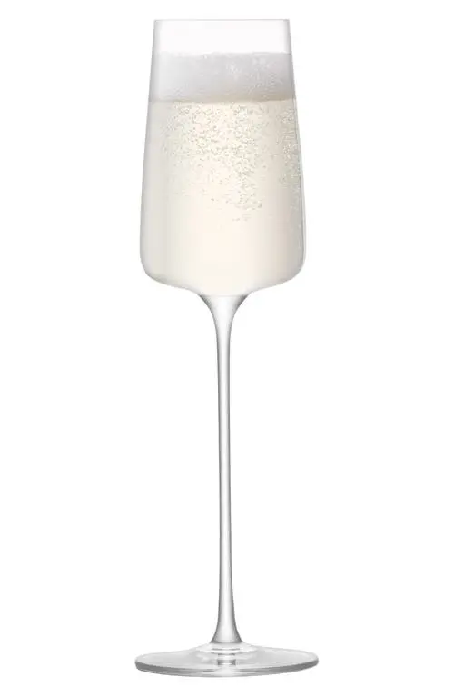 LSA Metropolitan Champagne Flute
