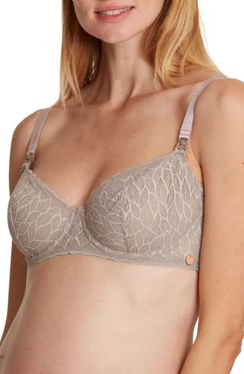 CACHE COEUR Bliss Lace Maternity/nursing Bra - Taupe