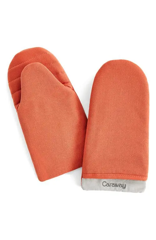 CARAWAY Set Of 2 Oven Mitts - Perracotta