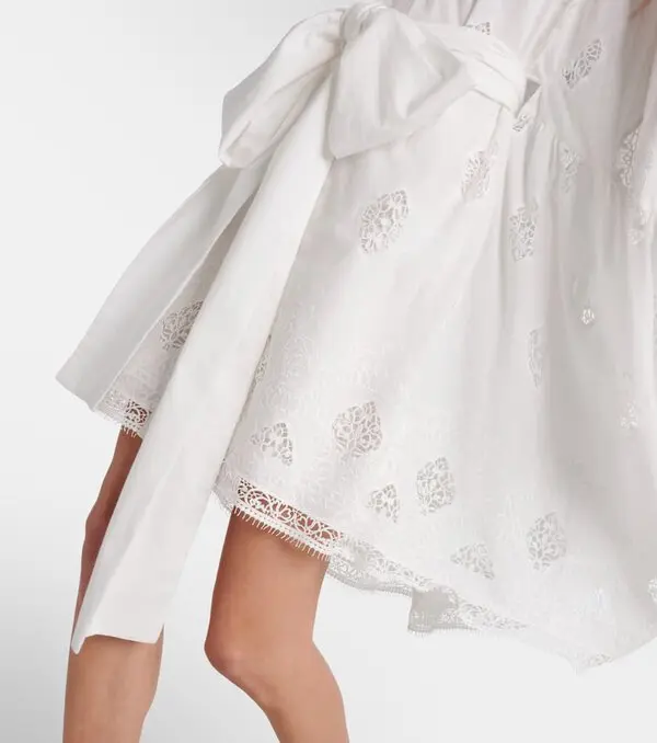 Erdem Embroidered Cotton-blend Minidress