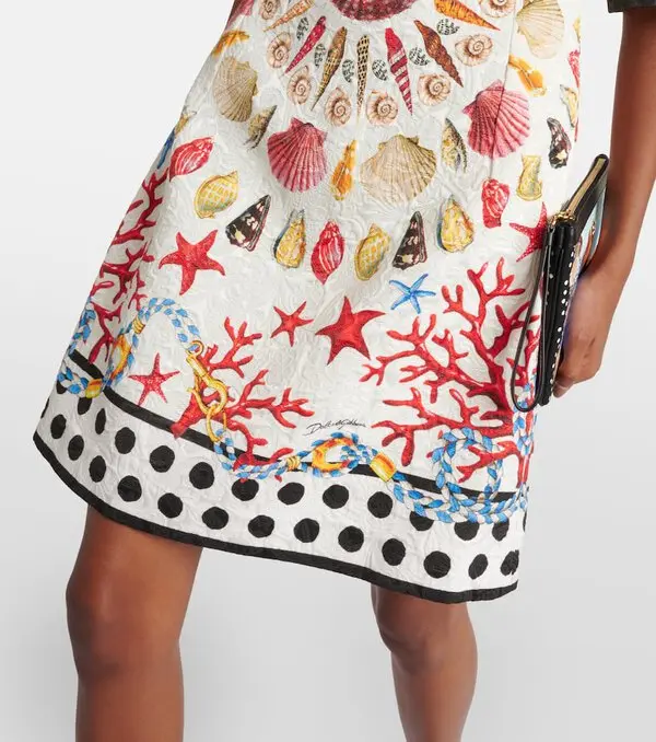 Dolce & Gabbana Capri Printed Minidress