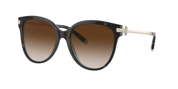 Tiffany & Co. Sunglass - Brown Gradient