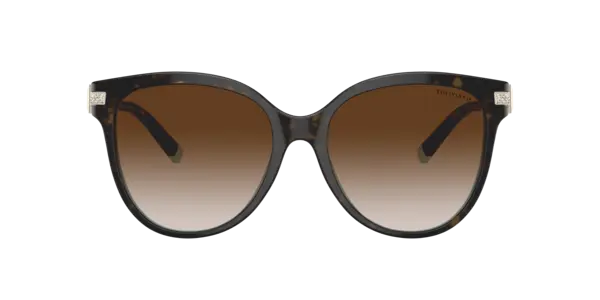 Tiffany & Co. Sunglass - Brown Gradient