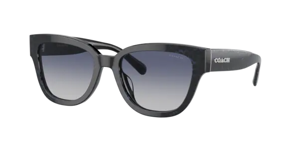 COACH Hc8379u Cl920 Sunglasses - Blue Gradient