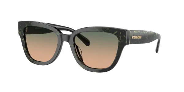 COACH Hc8379u Cl920 Sunglasses - Green
