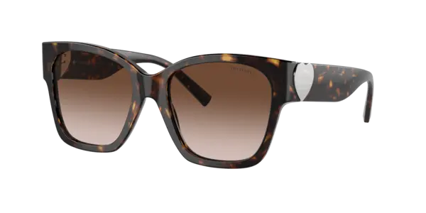 Tiffany & Co. Sunglasses - Brown Gradient