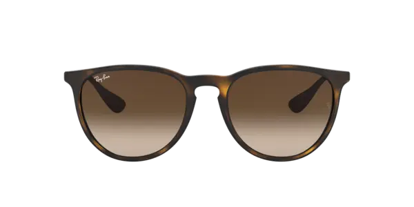 Ray-ban Erika Classic Sunglasses - Brown Gradient