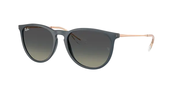 Ray-ban Erika Classic Sunglasses - Gradient Grey