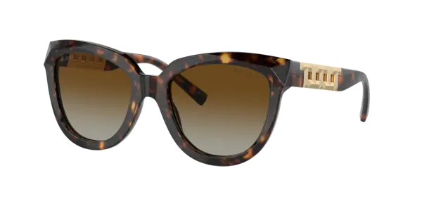 Tiffany & Co. Sunglasses - Polar Brown Gradient