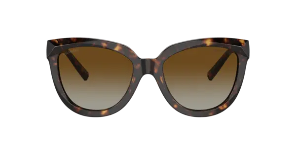 Tiffany & Co. Sunglasses - Polar Brown Gradient