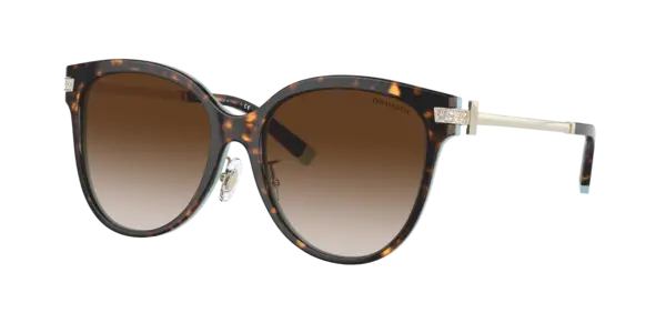 Tiffany & Co. Sunglasses - Brown Gradient
