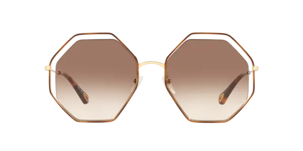 Chloé Ch0046s Sunglasses - Brown Gradient